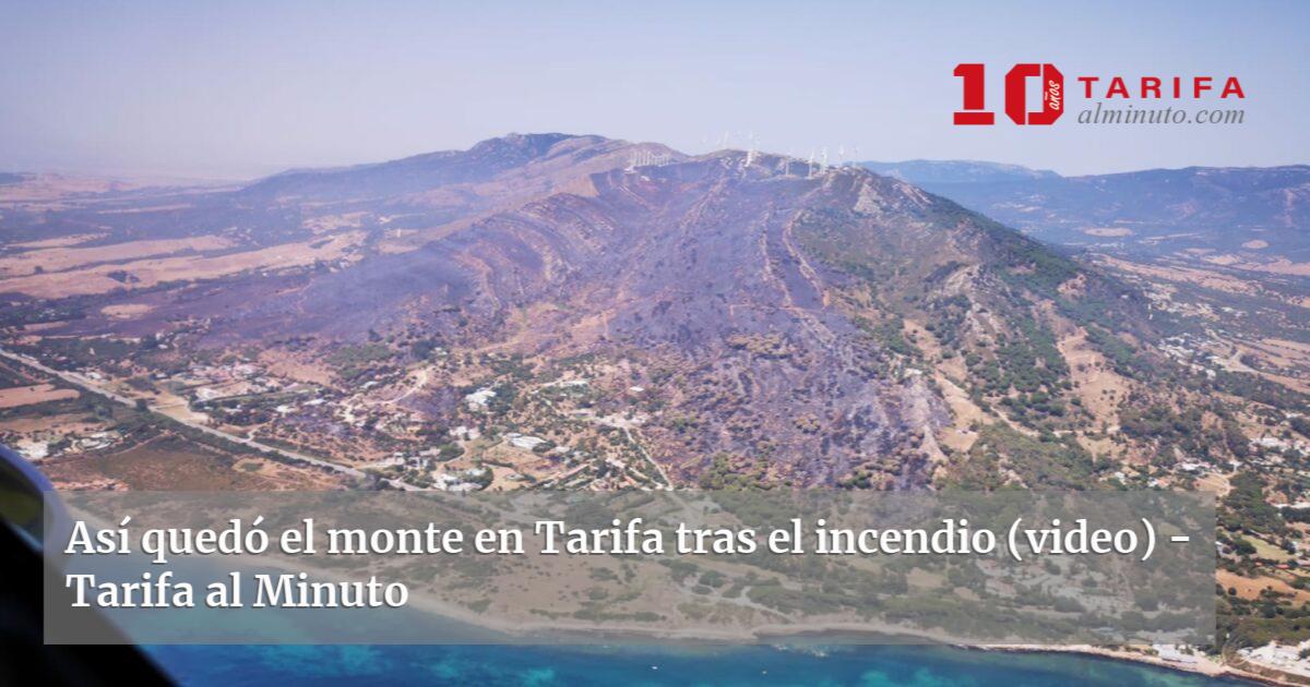 Así quedó el monte en Tarifa tras el incendio (video)