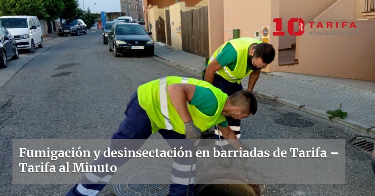 Fumigación y desinsectación en barriadas de Tarifa