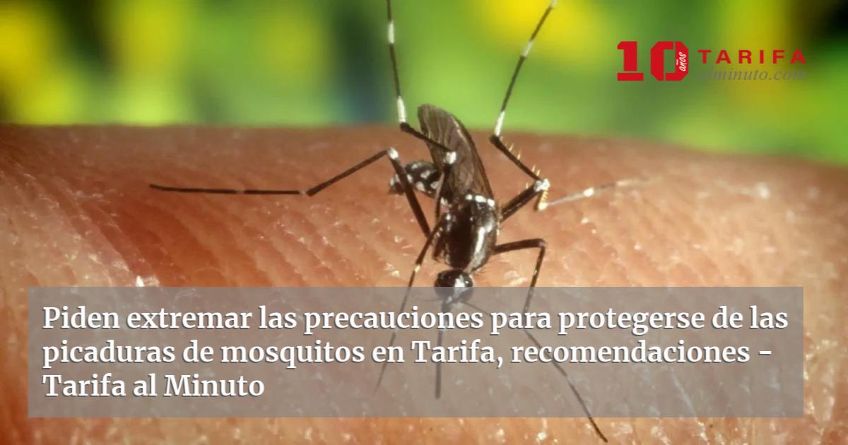 Piden extremar las precauciones para protegerse de las picaduras de ...