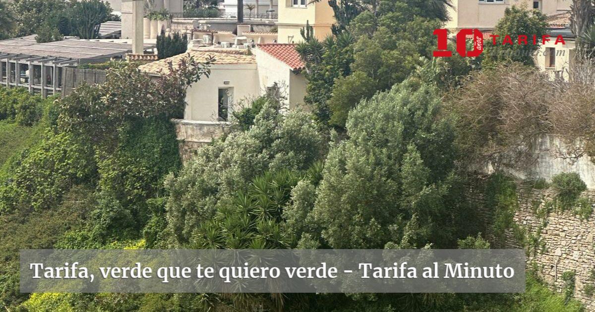 Tarifa, verde que te quiero verde