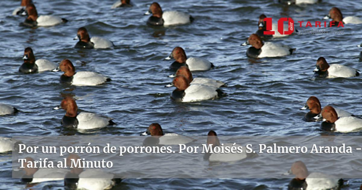 Por un porrón de porrones. Por Moisés S. Palmero Aranda