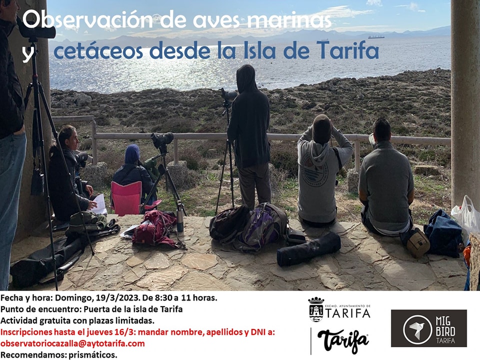 OBSERVACIÓN DE AVES MARINAS Y CETÁCEOS desde la Isla de Tarifa | Tarifa ...